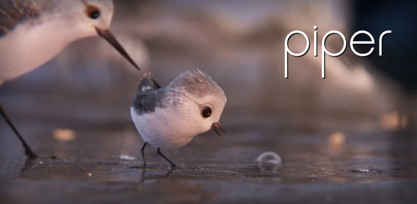 Piper Disney/Pixar – Animation Resources